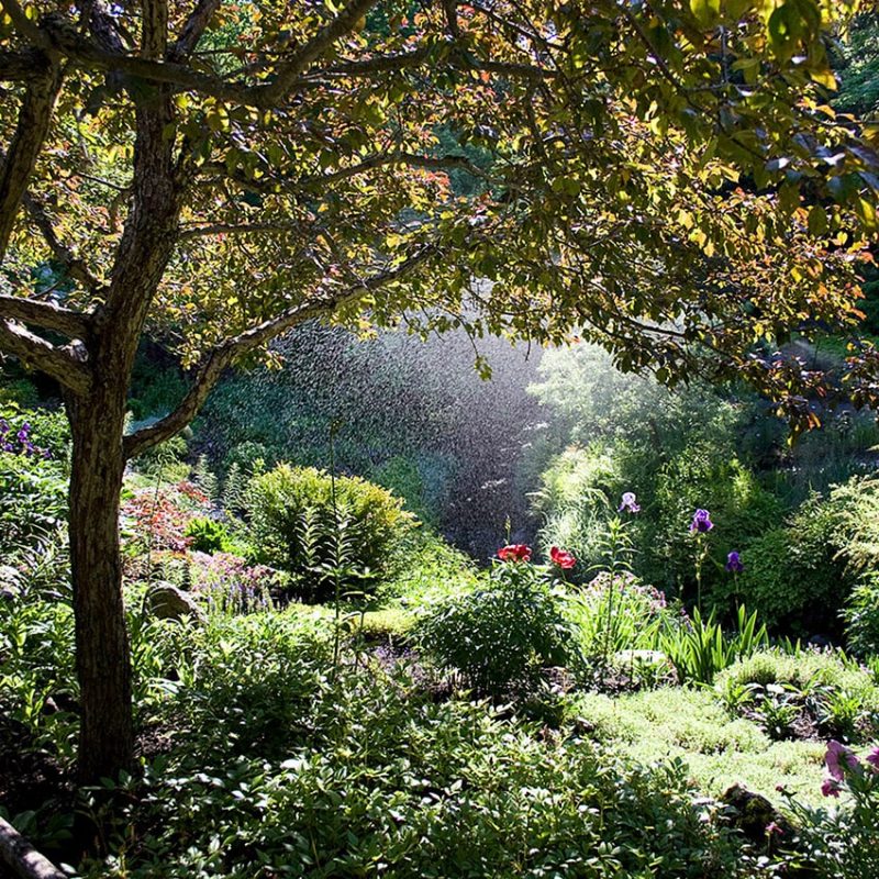 Jardins de Métis - Reford Gardens